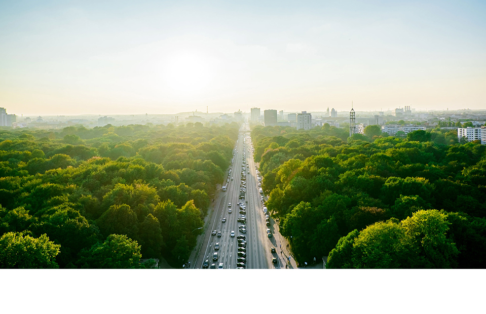 ‘Treepedia, avaliador do manto verde das cidades...