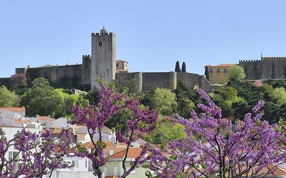 Câmara quer contributos da população para Plano de Revitalização ...