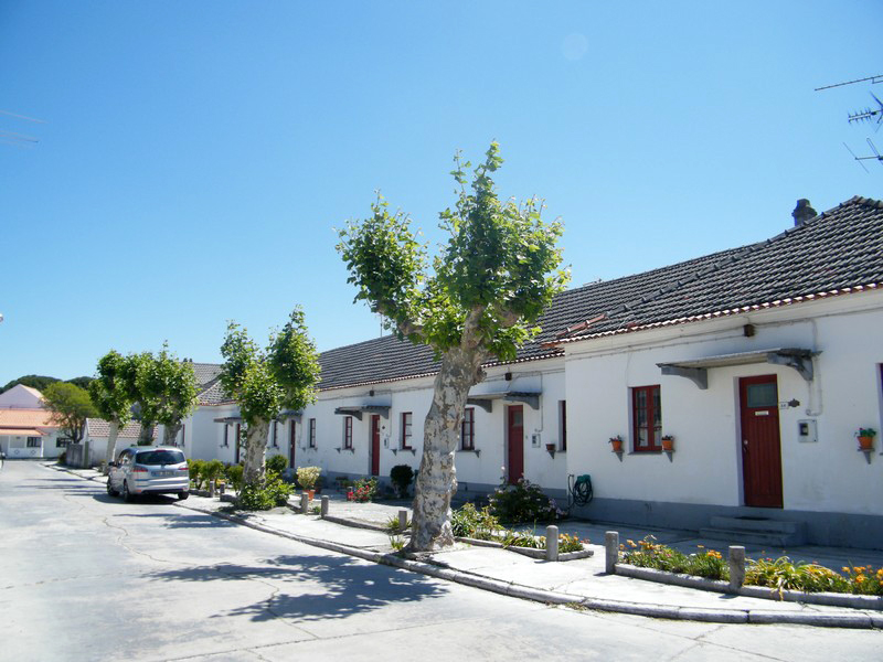 Câmara de Leiria vai reabilitar 19 casas do bairro da fábrica Maceira-Liz